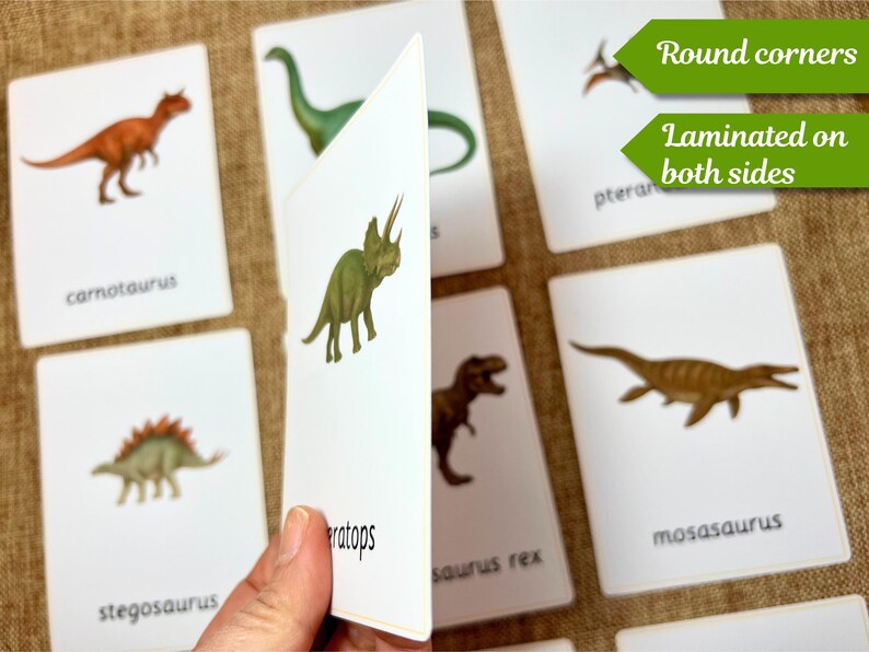 Dinosaurs Montessori 3 Part Card With Fact Cards for Reading and ...
