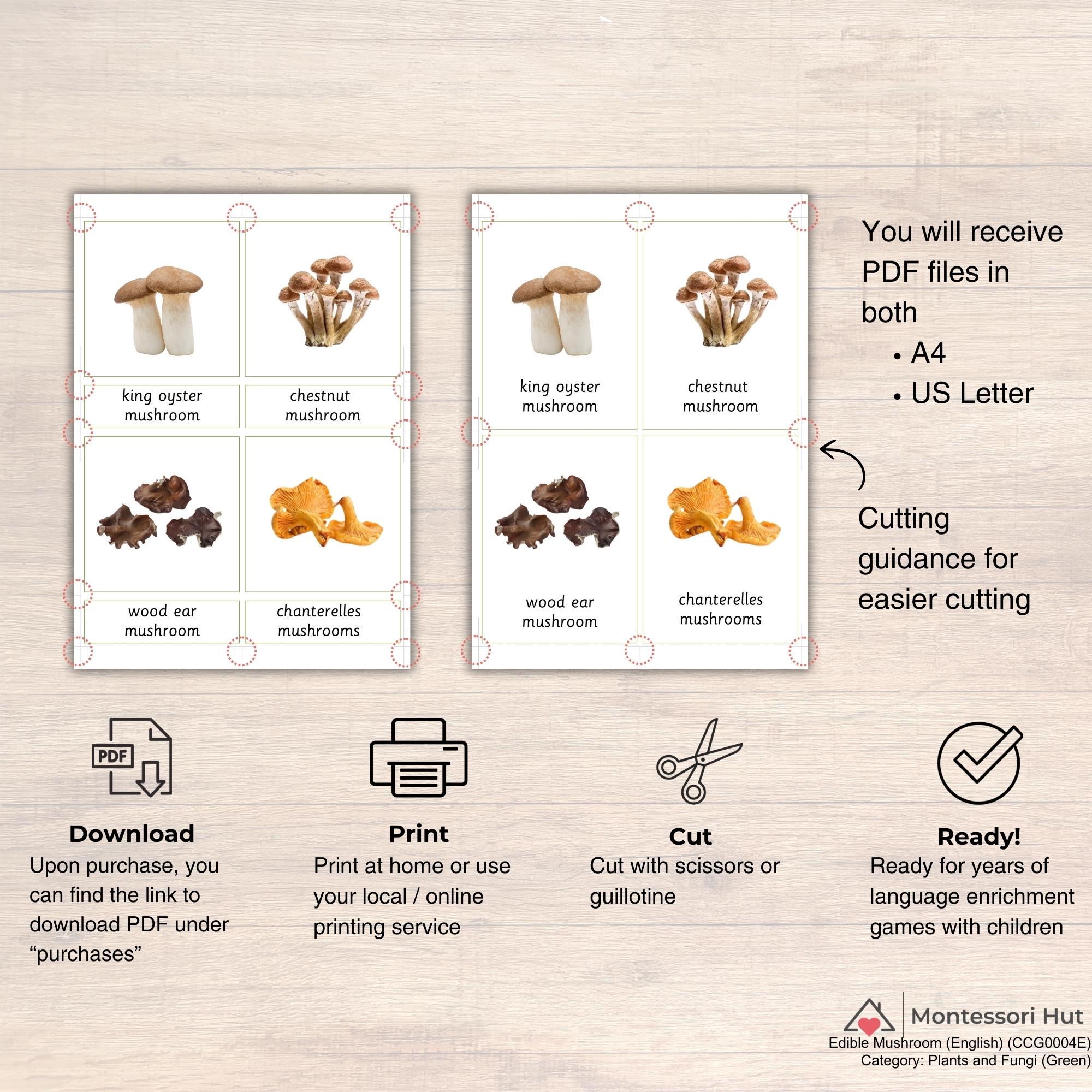 15 Edible Mushrooms Montessori 3 Part Cards|nomenclature Cards|pdf ...