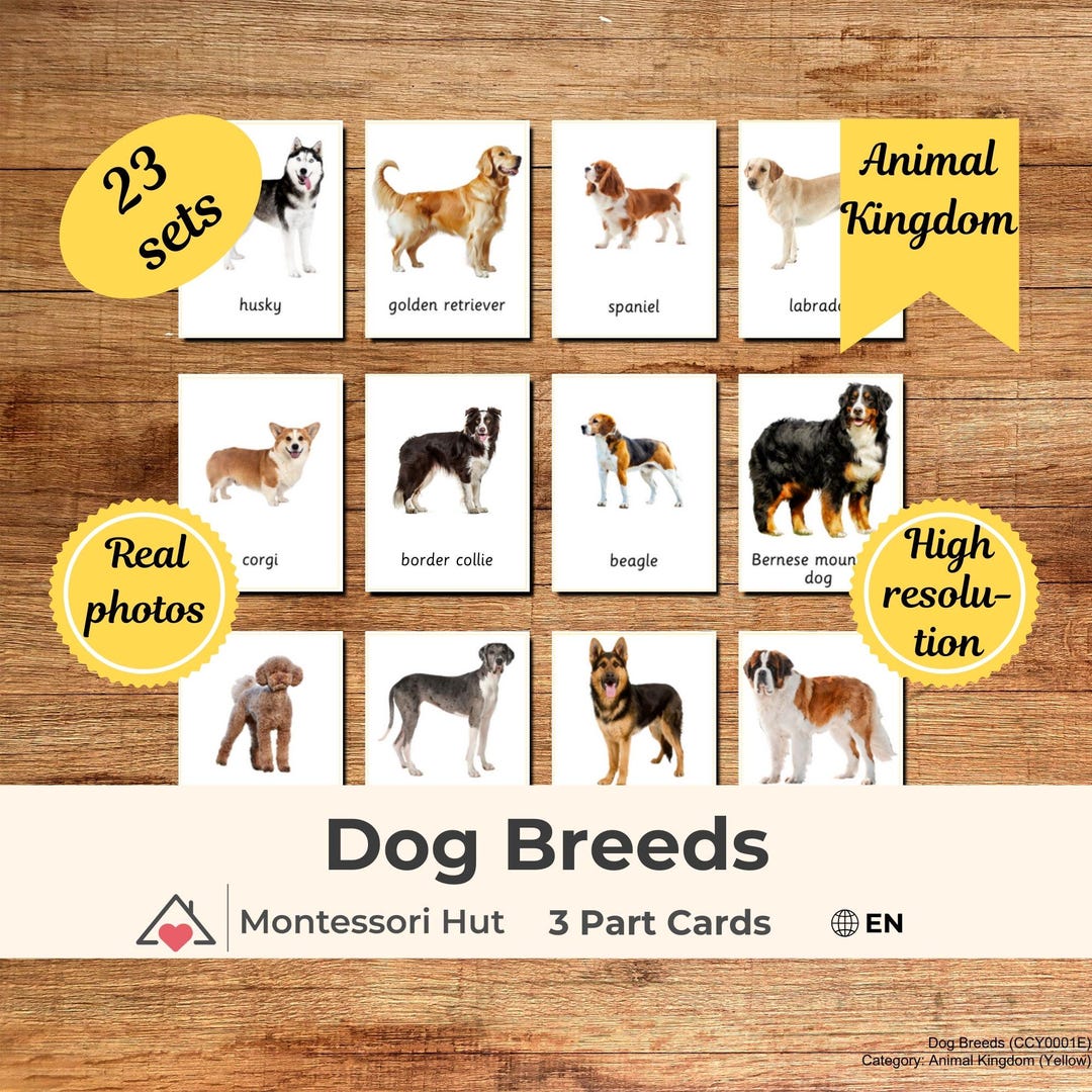 23 Common Dog Breeds - Montessori 3 Part Cards • Flash Cards Three Part ...
