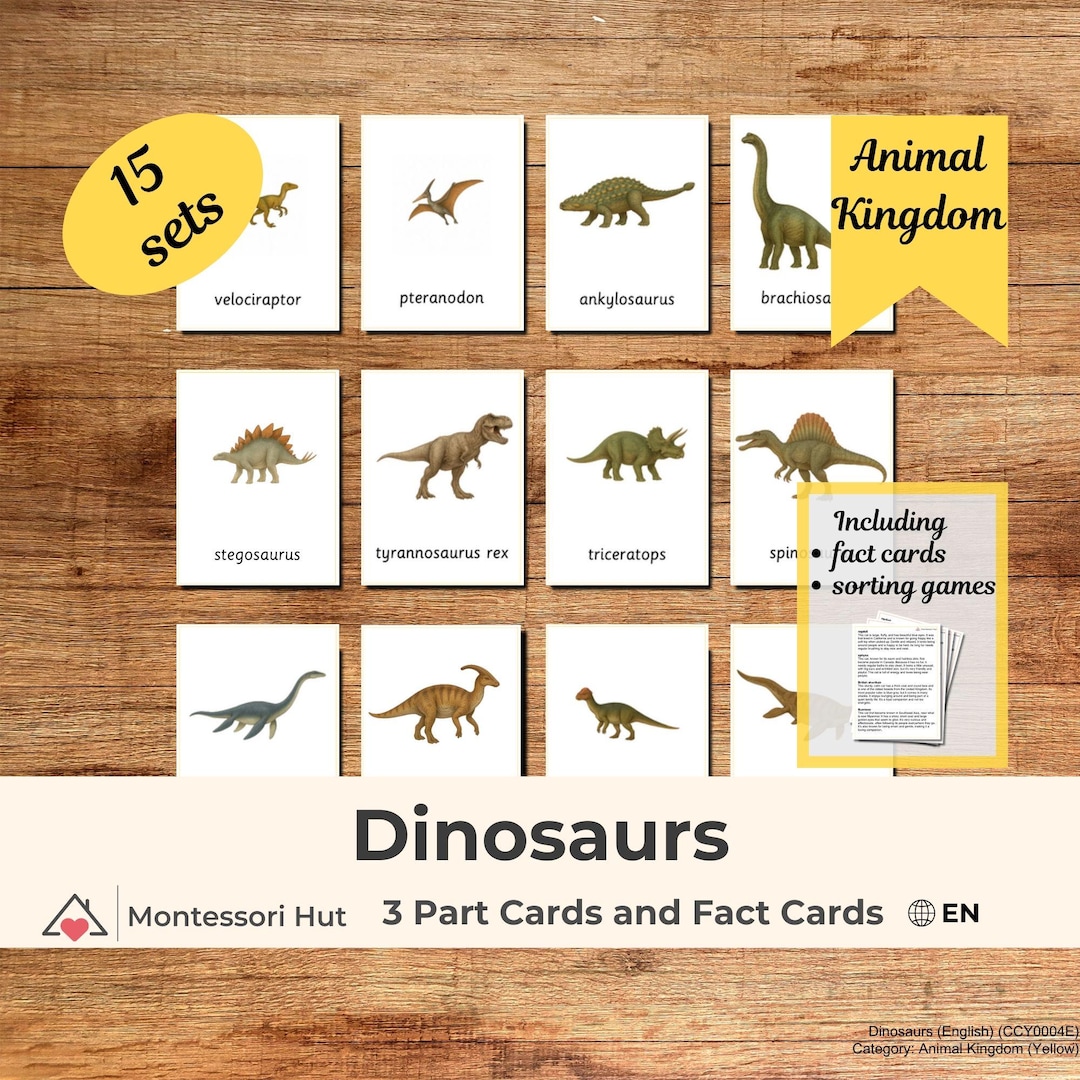 15 Dinosaurs - Montessori 3 Part Cards • Flash Cards Three Part Cards ...