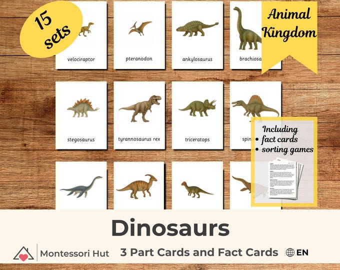 Dinosaur Montessori 3-part Cards / Digital Download / Social Studies ...