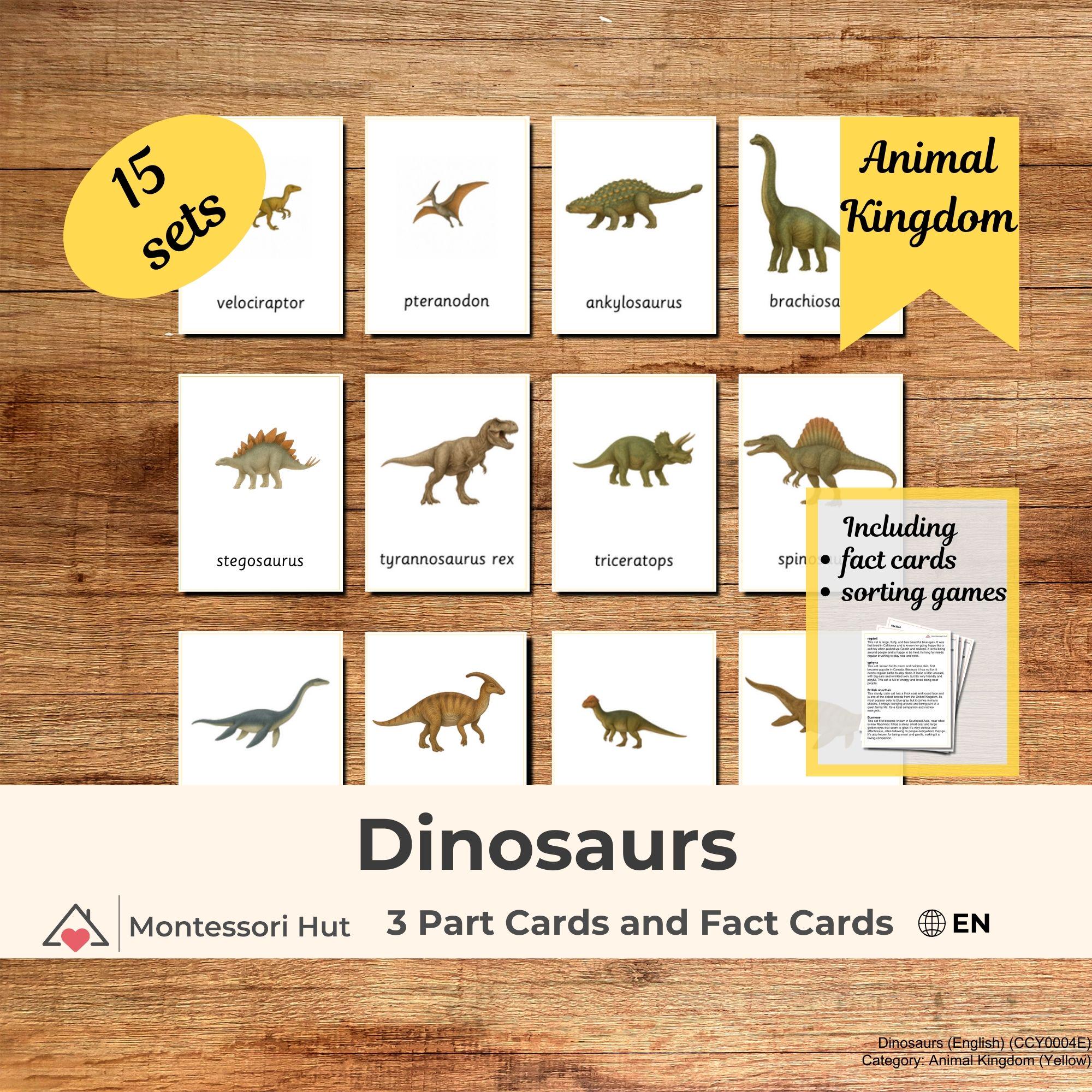 15 Dinosaurs - Montessori 3 Part Cards • Flash Cards Three Part Cards ...
