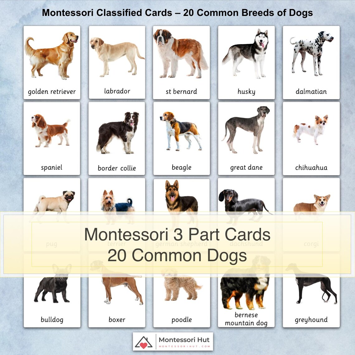 20 Common Dog Breeds - Montessori Cards • Flash Cards • Three Part ...