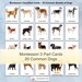 20 Common Dog Breeds - Montessori Cards • Flash Cards • Three Part ...