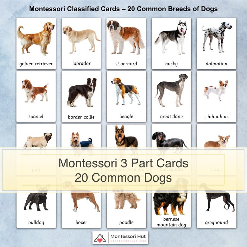 20 Common Dog Breeds - Montessori Cards • Flash Cards • Three Part ...