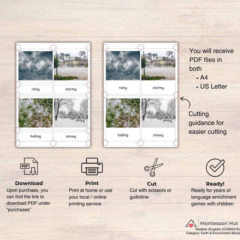 15 Weather Montessori 3 Part Cards|nomenclature Cards|pdf Educational ...