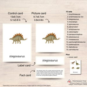 15 Dinosaurs - Montessori 3 Part Cards • Flash Cards Three Part Cards ...