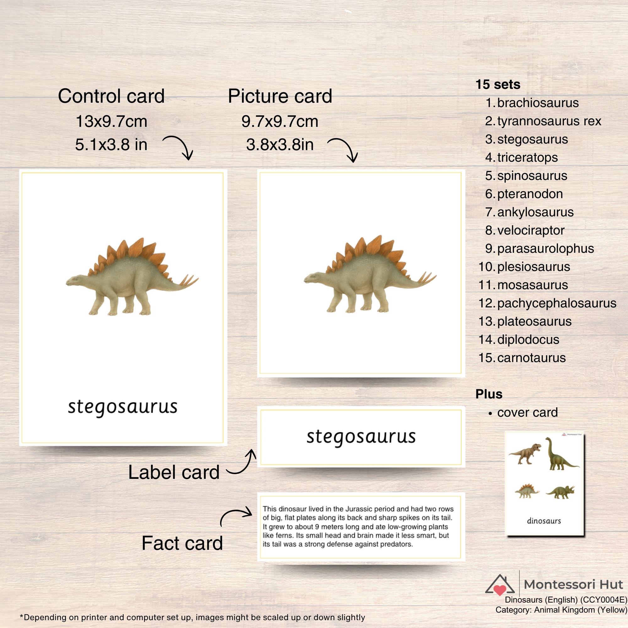 15 Dinosaurs - Montessori 3 Part Cards • Flash Cards Three Part Cards ...