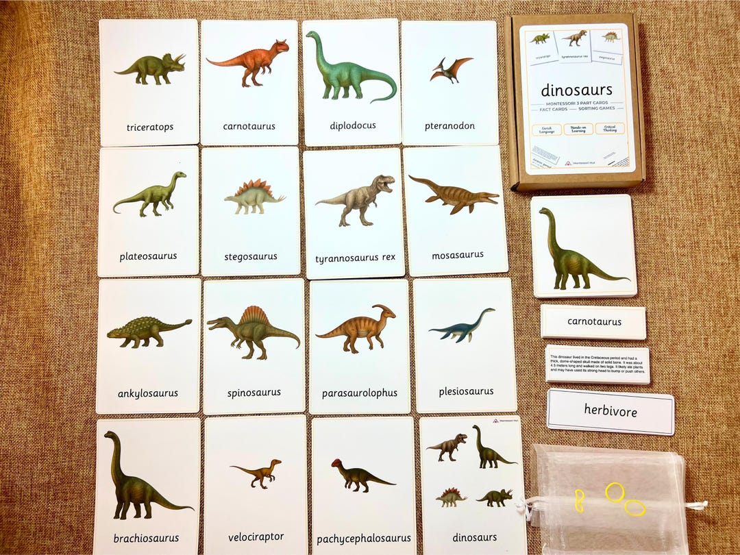 Dinosaurs Montessori 3 Part Card With Fact Cards for Reading and ...
