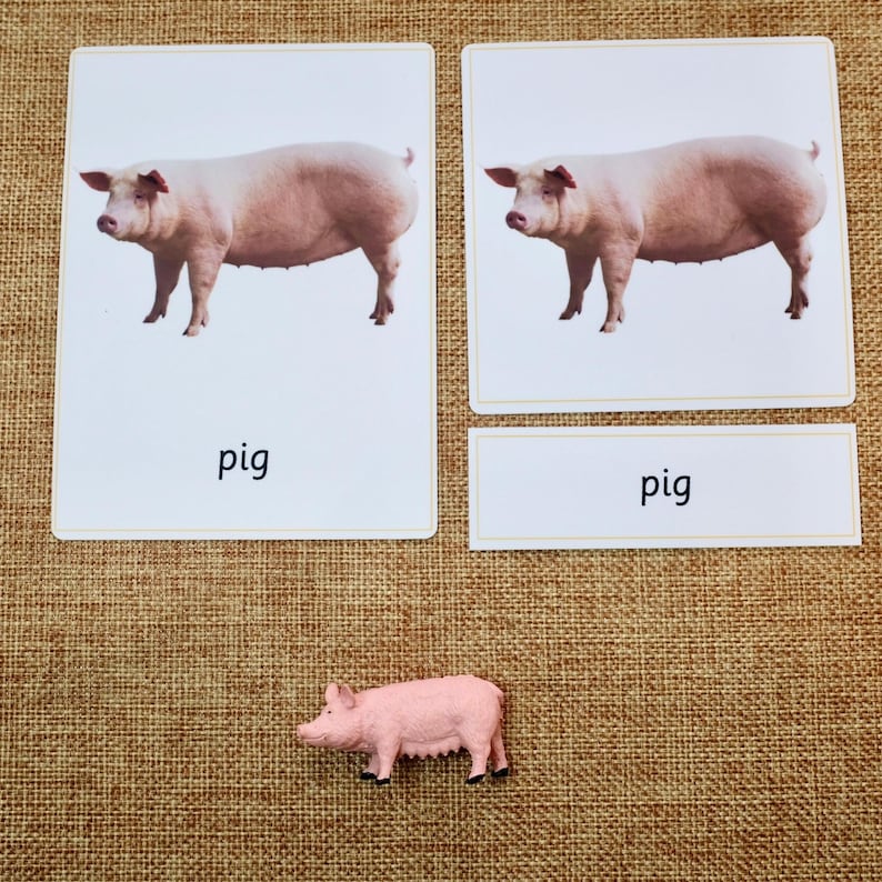 11 Farm Animals Montessori 3 Part Cards With Matching Miniature Figures ...