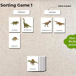 Dinosaurs Montessori 3 Part Card With Fact Cards for Reading and ...