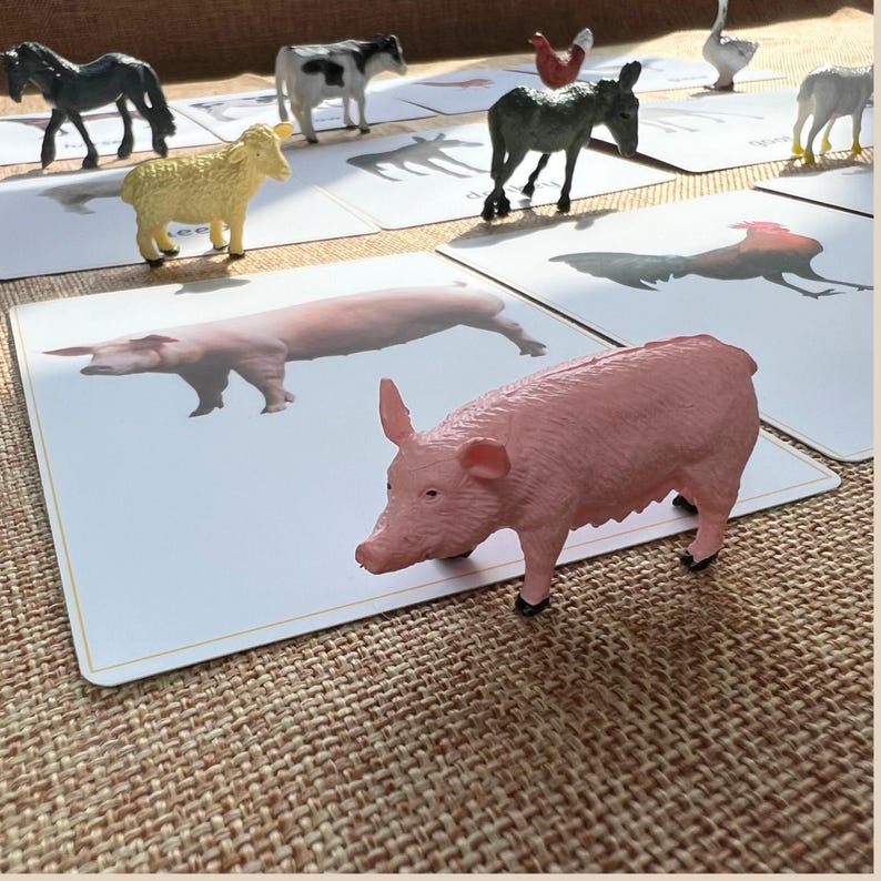11 Farm Animals Montessori 3 Part Cards With Matching Miniature Figures ...