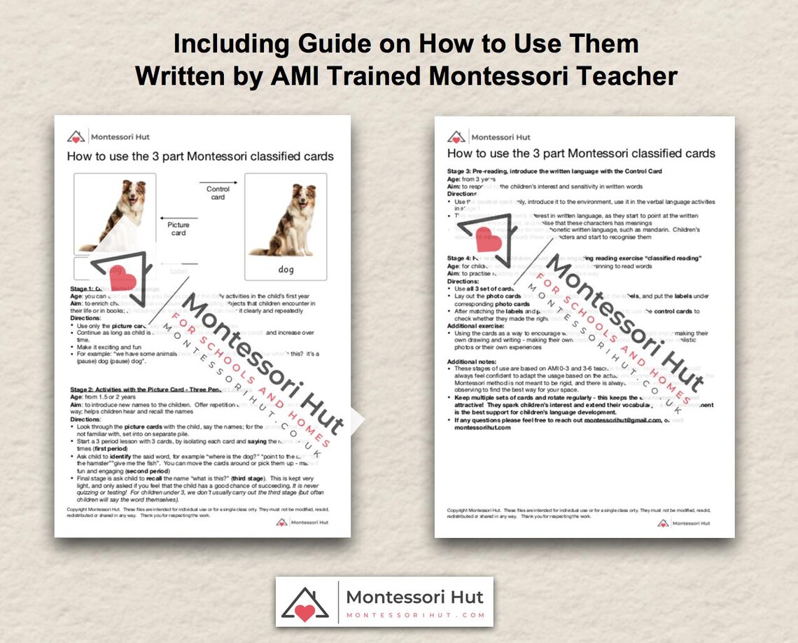 28 Common House Plants - Montessori Cards • Flash Cards • Three Part ...