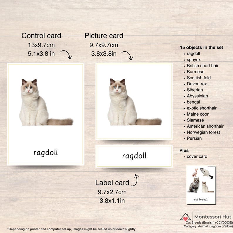 15 Cat Breeds Montessori 3 Part Cards Nomenclature Card Educational ...