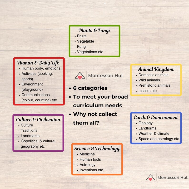 15 Edible Mushrooms Montessori 3 Part Cards|nomenclature Cards|pdf ...
