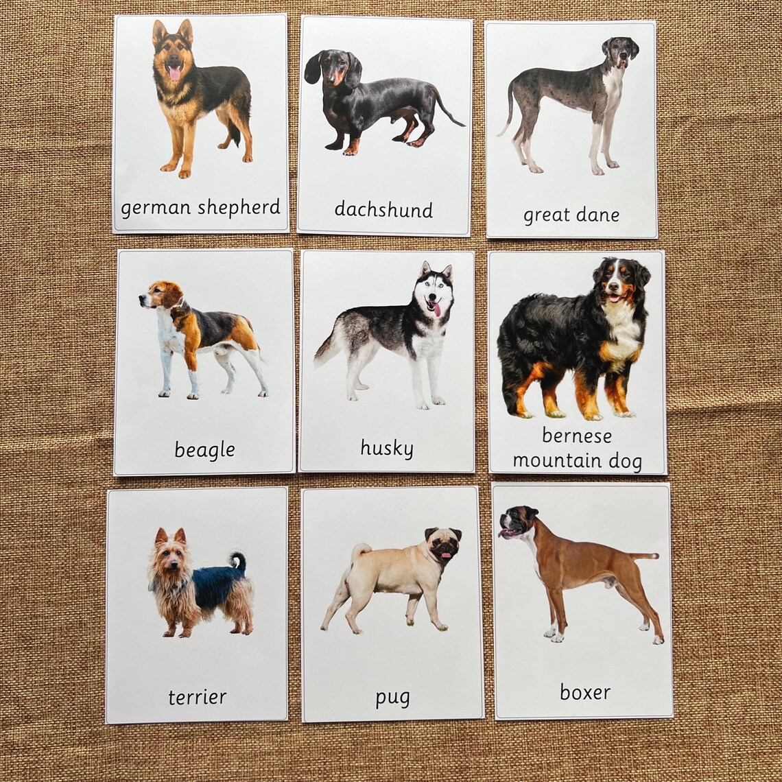 20 Common Dog Breeds - Montessori Cards • Flash Cards • Three Part ...
