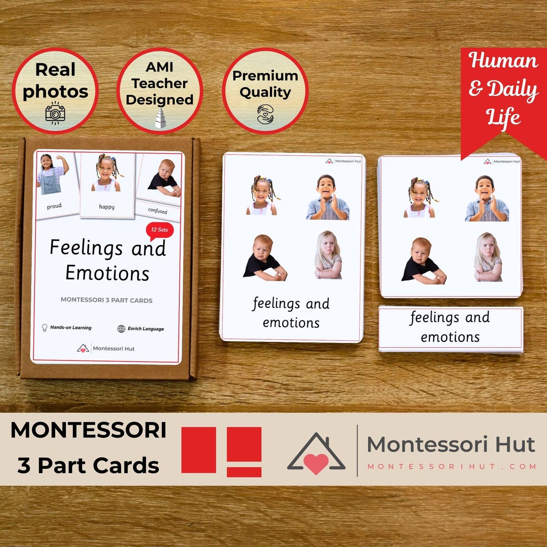 Feelings and Emotions Montessori 3 Part Cards Nomenclature - 12 Sets ...