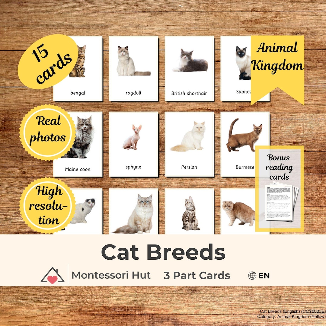 15 Cat Breeds Montessori 3 Part Cards Nomenclature Card Educational ...