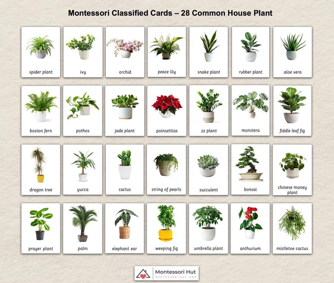 28 Common House Plants - Montessori Cards • Flash Cards • Three Part ...