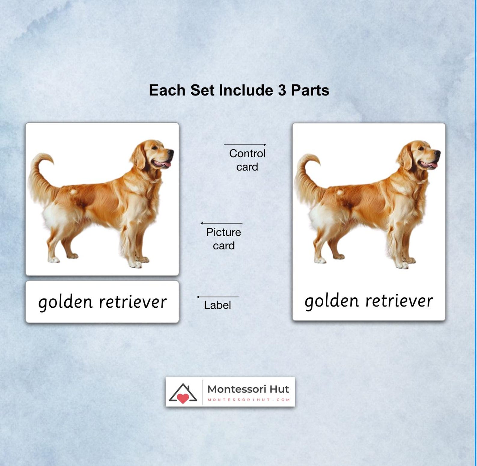 20 Common Dog Breeds - Montessori Cards • Flash Cards • Three Part ...