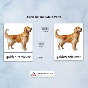 20 Common Dog Breeds - Montessori Cards • Flash Cards • Three Part ...