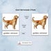 20 Common Dog Breeds - Montessori Cards • Flash Cards • Three Part ...