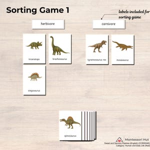 15 Dinosaurs - Montessori 3 Part Cards • Flash Cards Three Part Cards ...