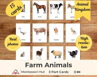 Farm Animals | 3 Part Cards | PDF Printable - Etsy