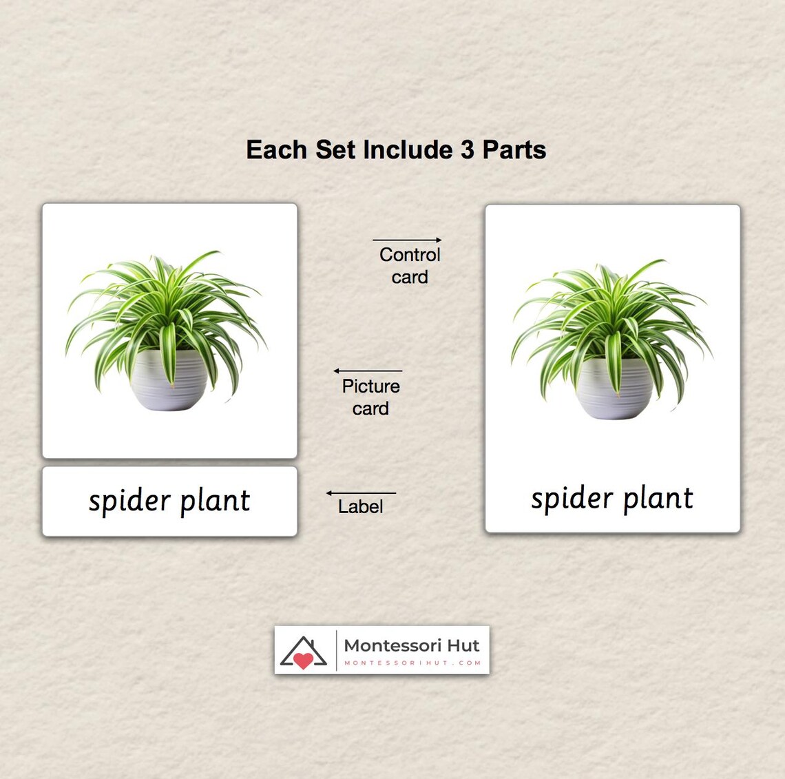 28 Common House Plants - Montessori Cards • Flash Cards • Three Part ...