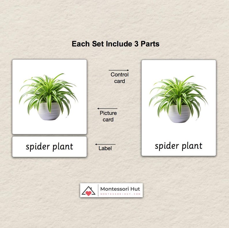 28 Common House Plants - Montessori Cards • Flash Cards • Three Part ...