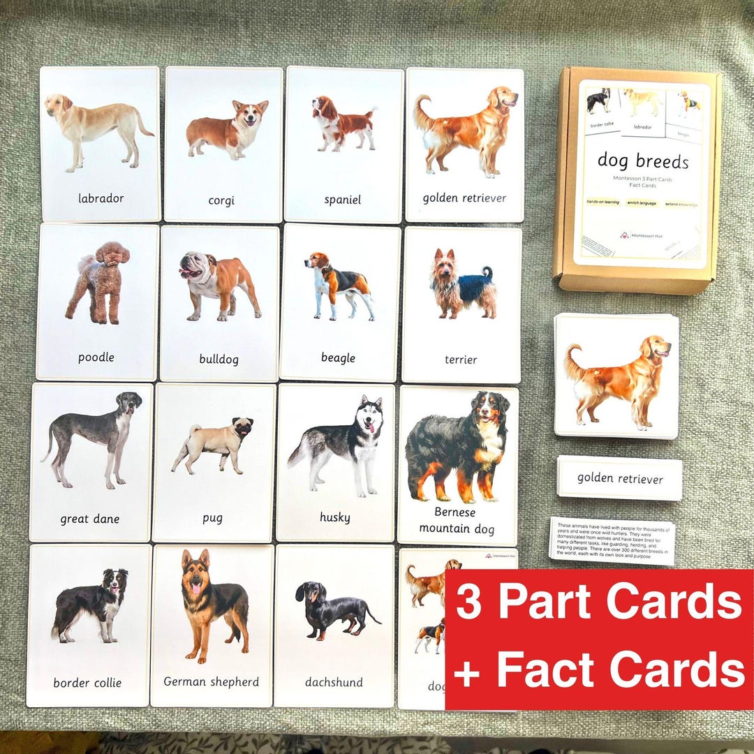 15 Dog Breeds Montessori 3-part Cards With Fact Cards - Education ...