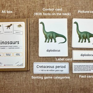Dinosaurs Montessori 3 Part Card With Fact Cards for Reading and ...