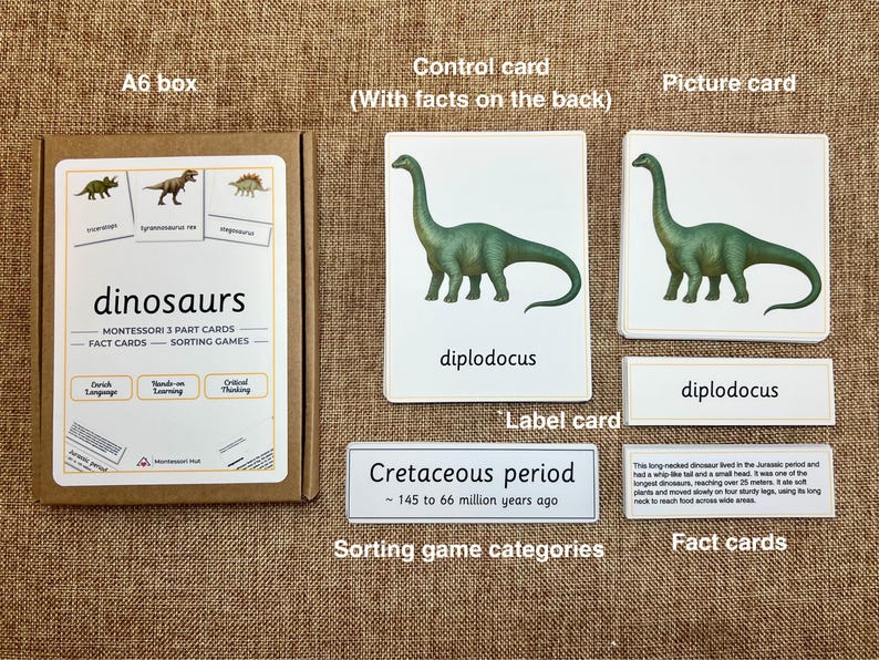 Dinosaurs Montessori 3 Part Card With Fact Cards for Reading and ...