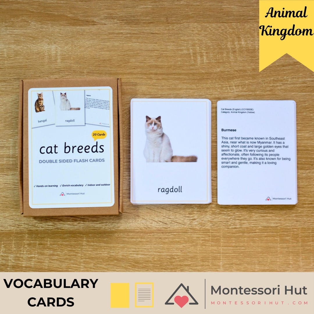 20 Cat Breeds Flash Cards With Facts - Educational Language Activity ...