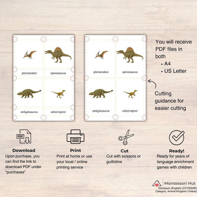 15 Dinosaurs - Montessori 3 Part Cards • Flash Cards Three Part Cards ...