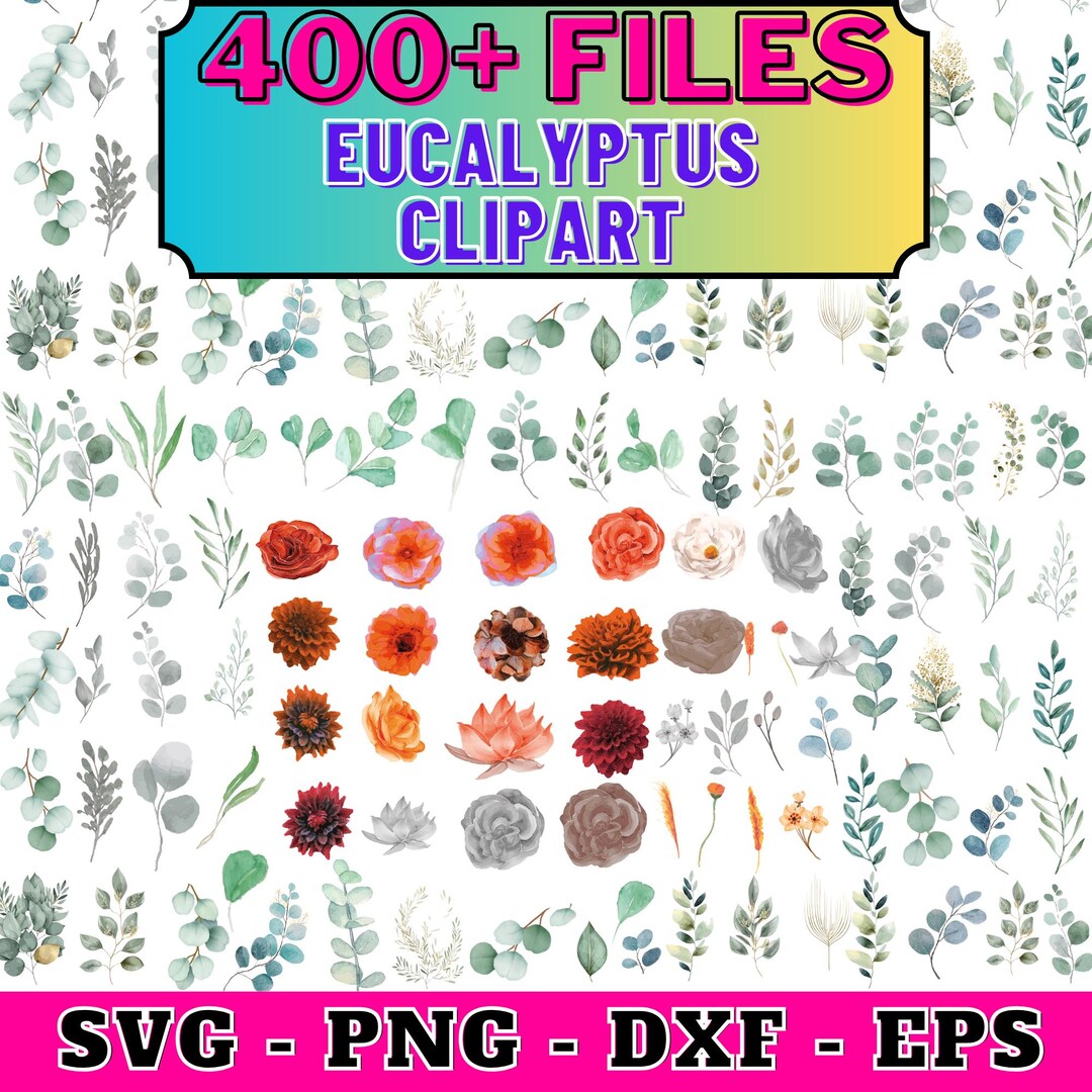 Watercolor Eucalyptus Clipart Bundle: Leaf & Frame Designs (digital ...