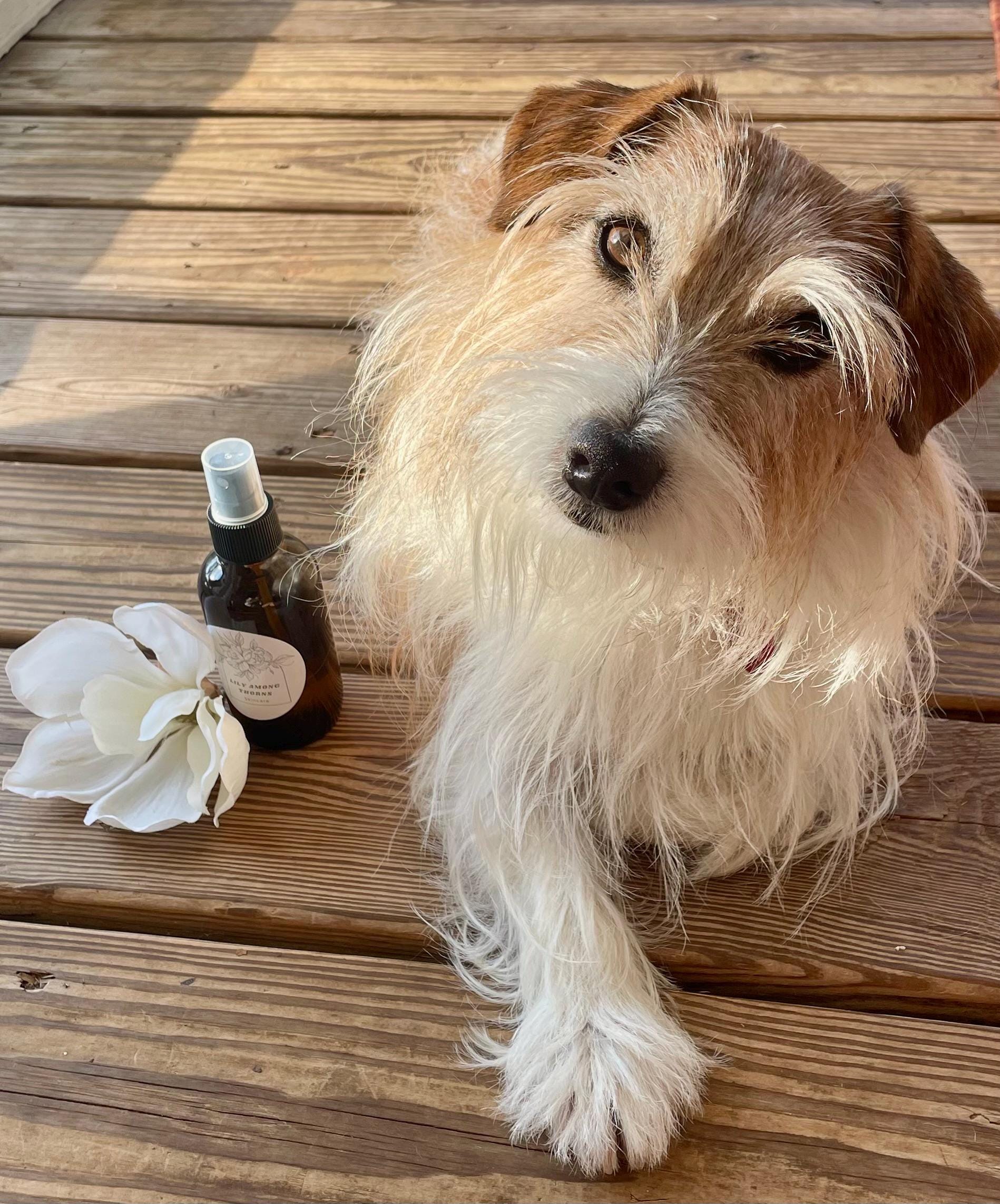 Magnesium Oil Spray With Doterra Essential Oils - Etsy