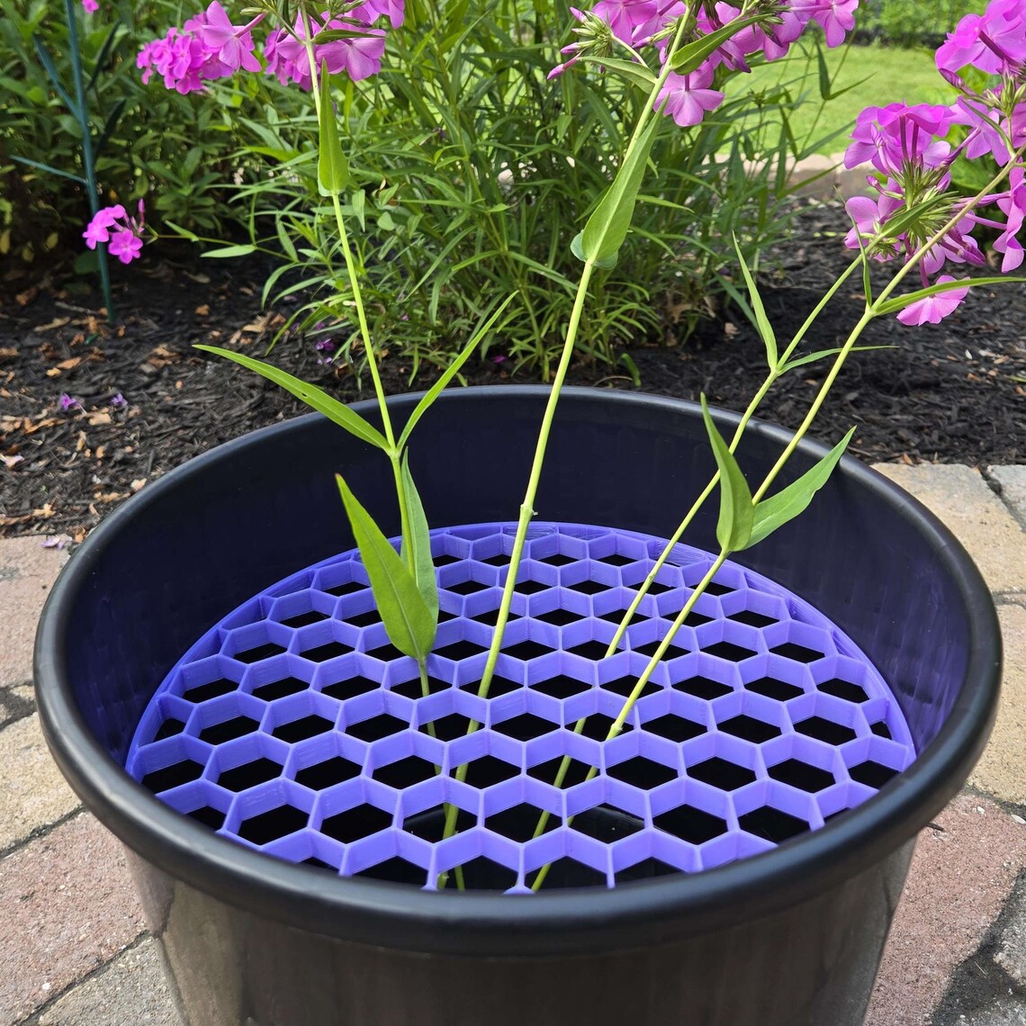Plant Flower Stem Grid Holder Insert for Buckets - Size Large - Etsy