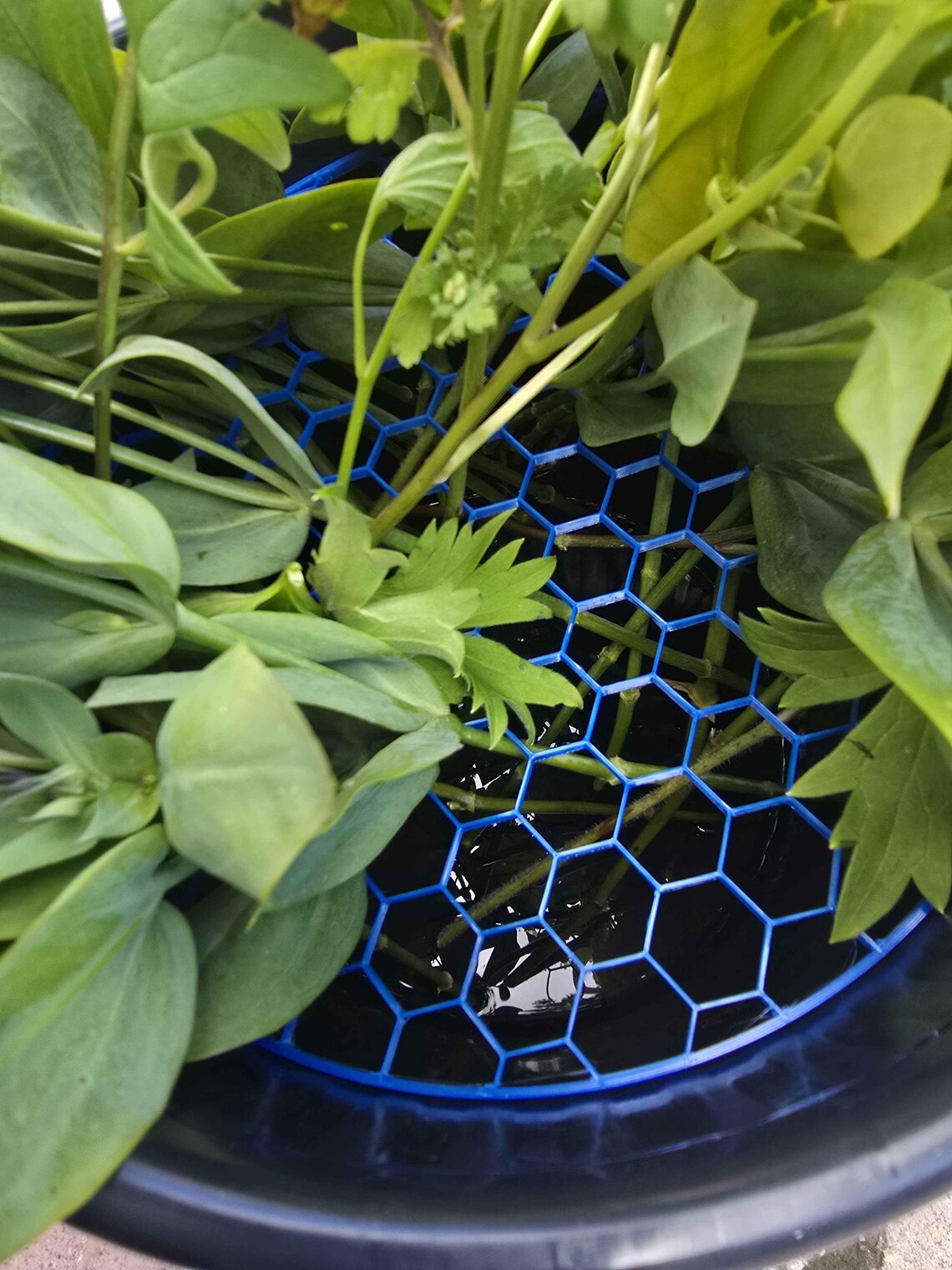 Plant Flower Stem Grid Holder Insert for Buckets, Multiple Sizes, Packs ...