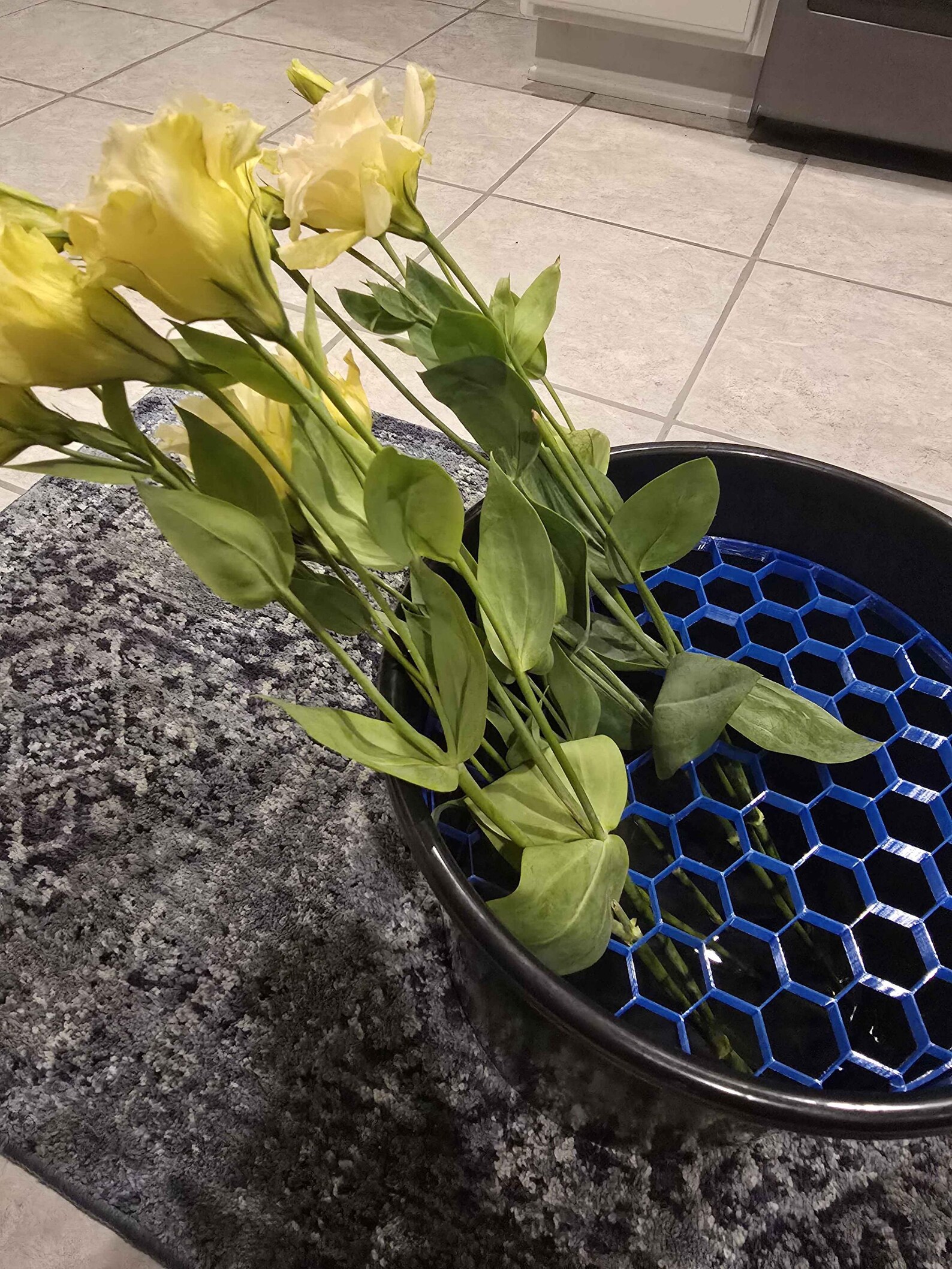 Plant Flower Stem Grid Holder Insert for Buckets, Multiple Sizes, Packs ...