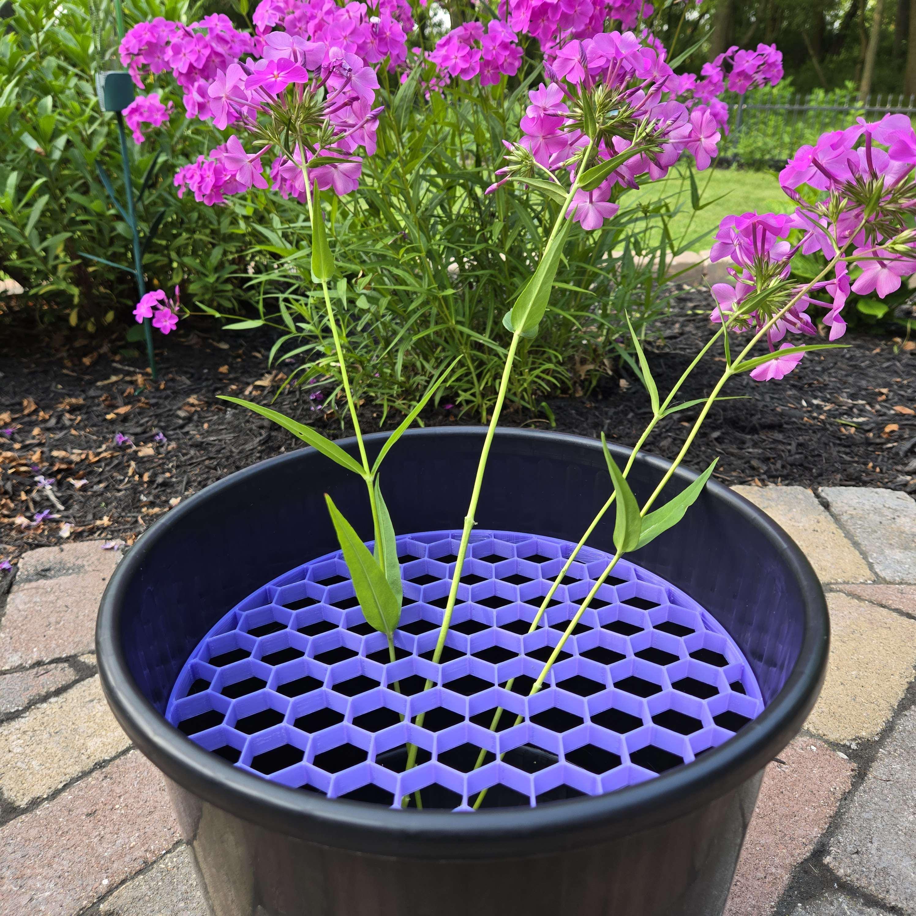 Plant Flower Stem Grid Holder Insert for Buckets - Size Large - Etsy