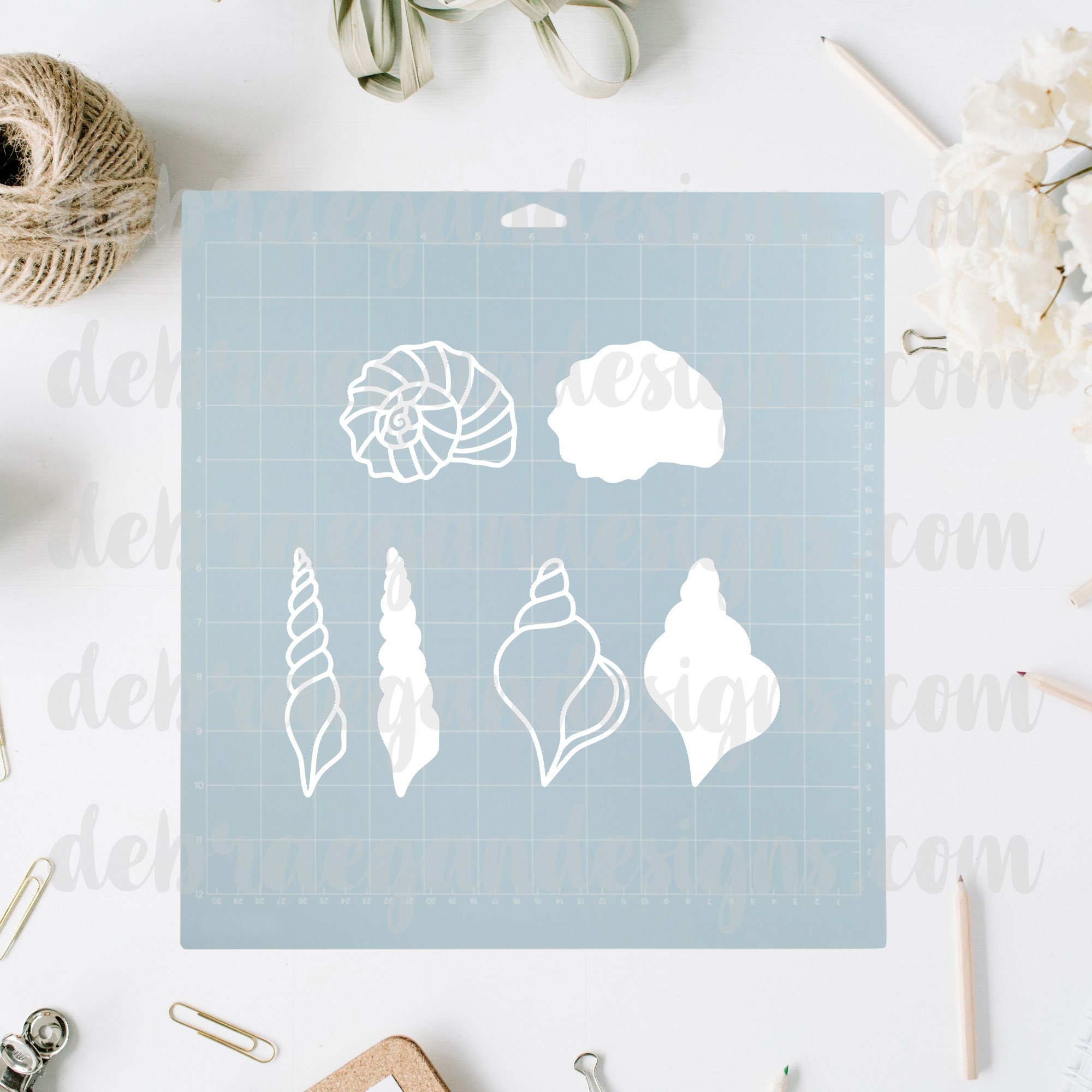 Shells Digital Cut File SVG PNG JPEG Silhouette Cameo - Etsy