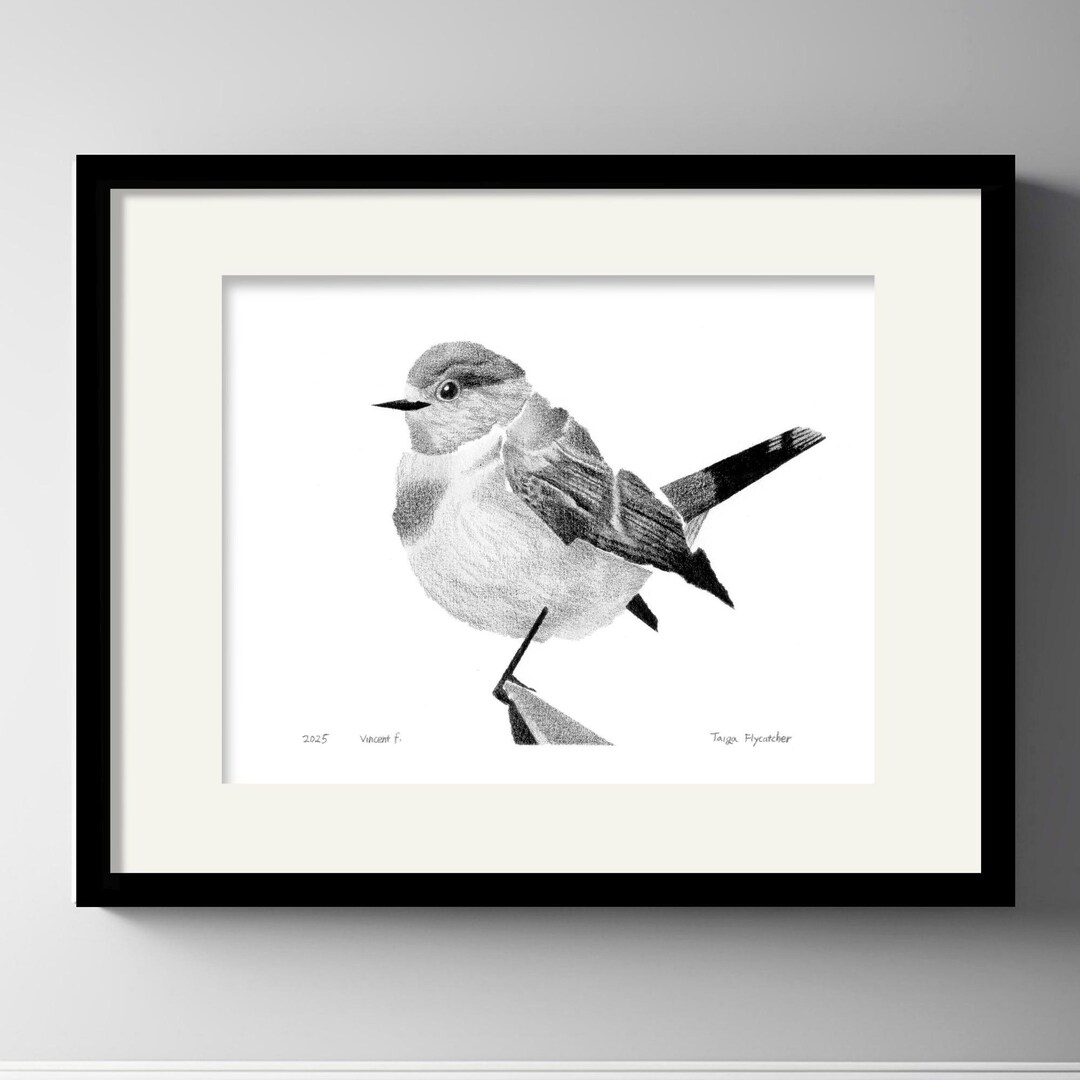 Original, NOT A PRINT - Taiga Flycatcher, Hand Painting Pencil Artwork ...