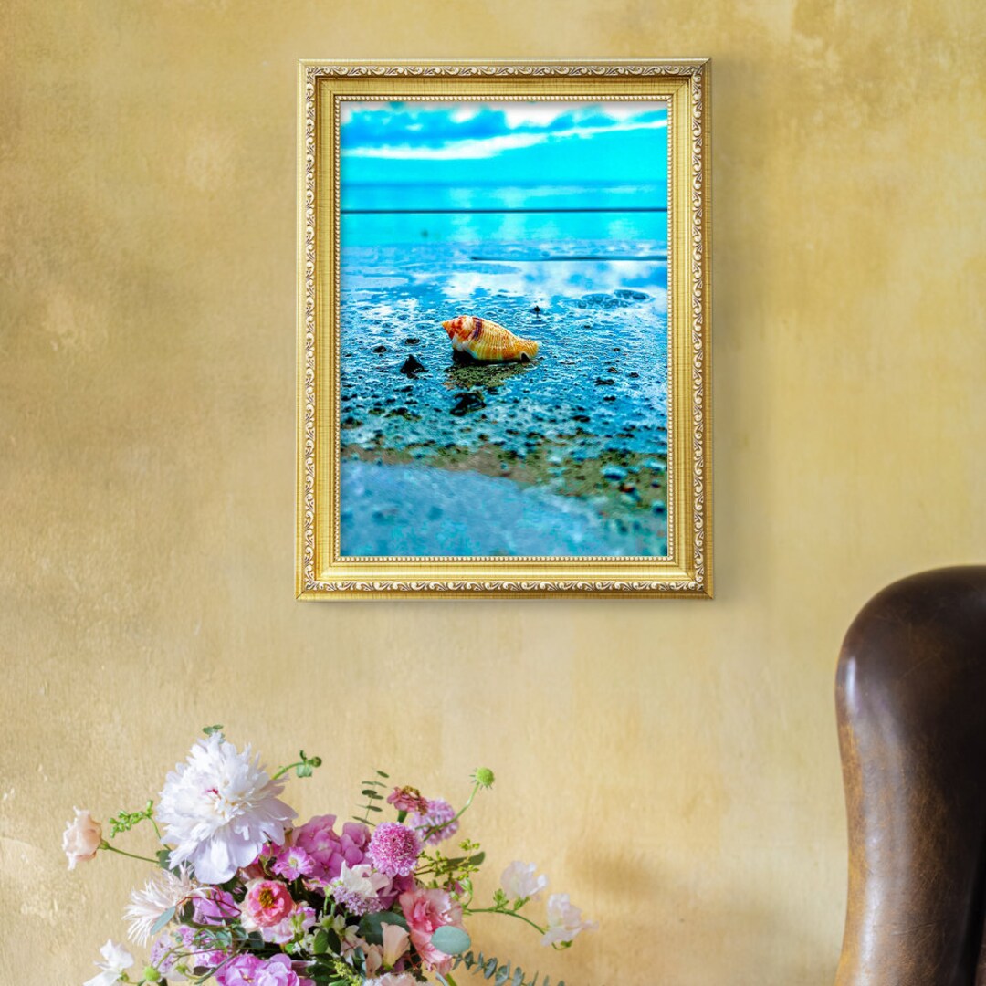 Blue Ash Shell Placed on Cigarette Ash Surrounded by Azure Colors Wall ...