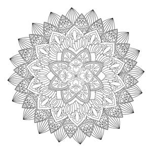 50 Mandala Coloring Pages editable ready to Print - Etsy