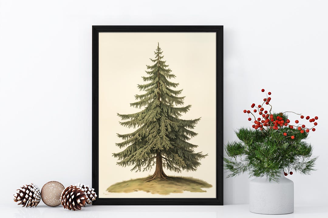 Spruce Tree Botanical Print, Holiday Wall Art, Winter Print at Home ...