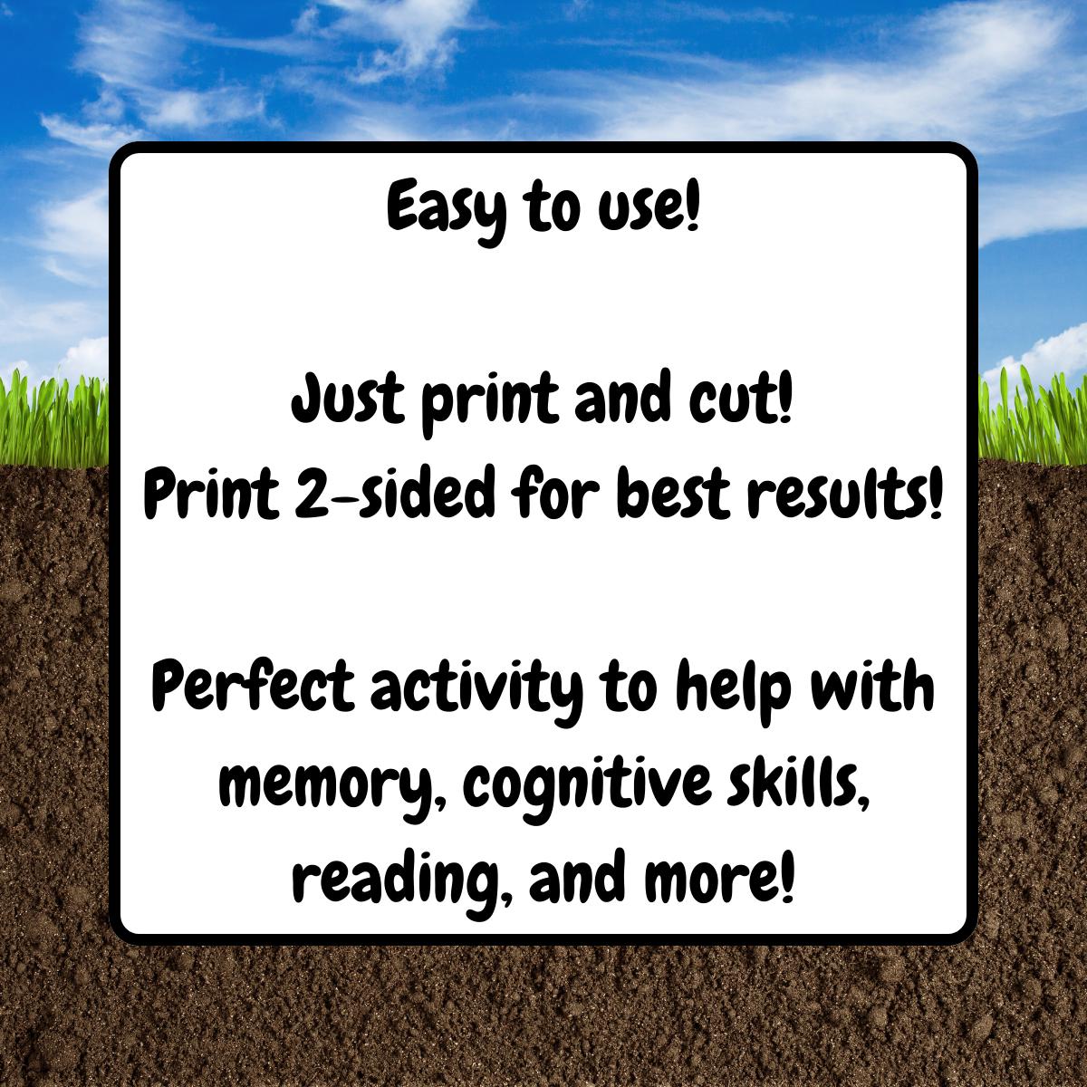 Set of 32 Bugs Themed Memory Matching Cards | Printable Insect Game for ...