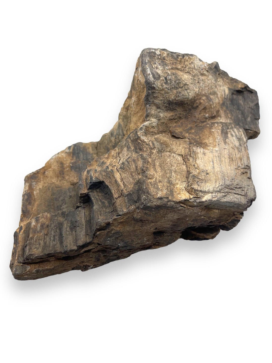 Petrified Wood Inlay Material - Etsy