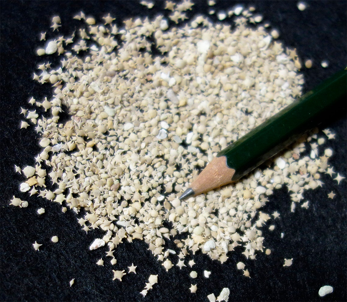 50g Star Sand from Okinawa Japan | Etsy