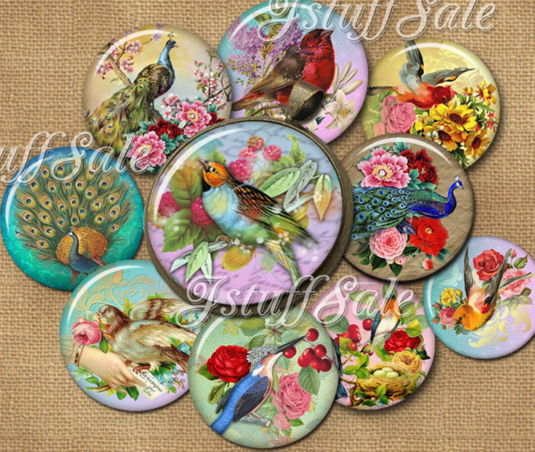 Vintage Bird Digital Collage Images: 1-inch Circles (digital Download ...
